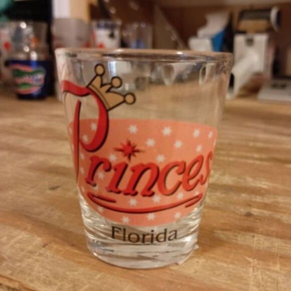 Dining | Princess Florida Shot Glass Souvenir Shot Glasses 9 | Poshmark